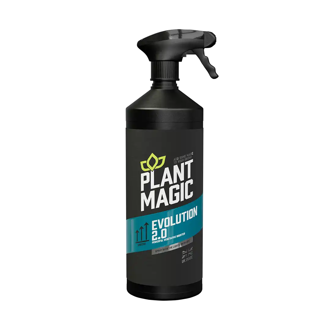 Plant Magic Evolution 2.0 – Greens Horticulture