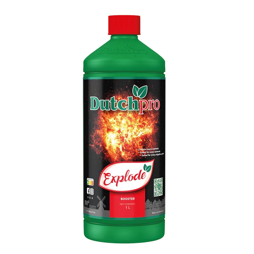 Dutchpro Explode – Greens Horticulture